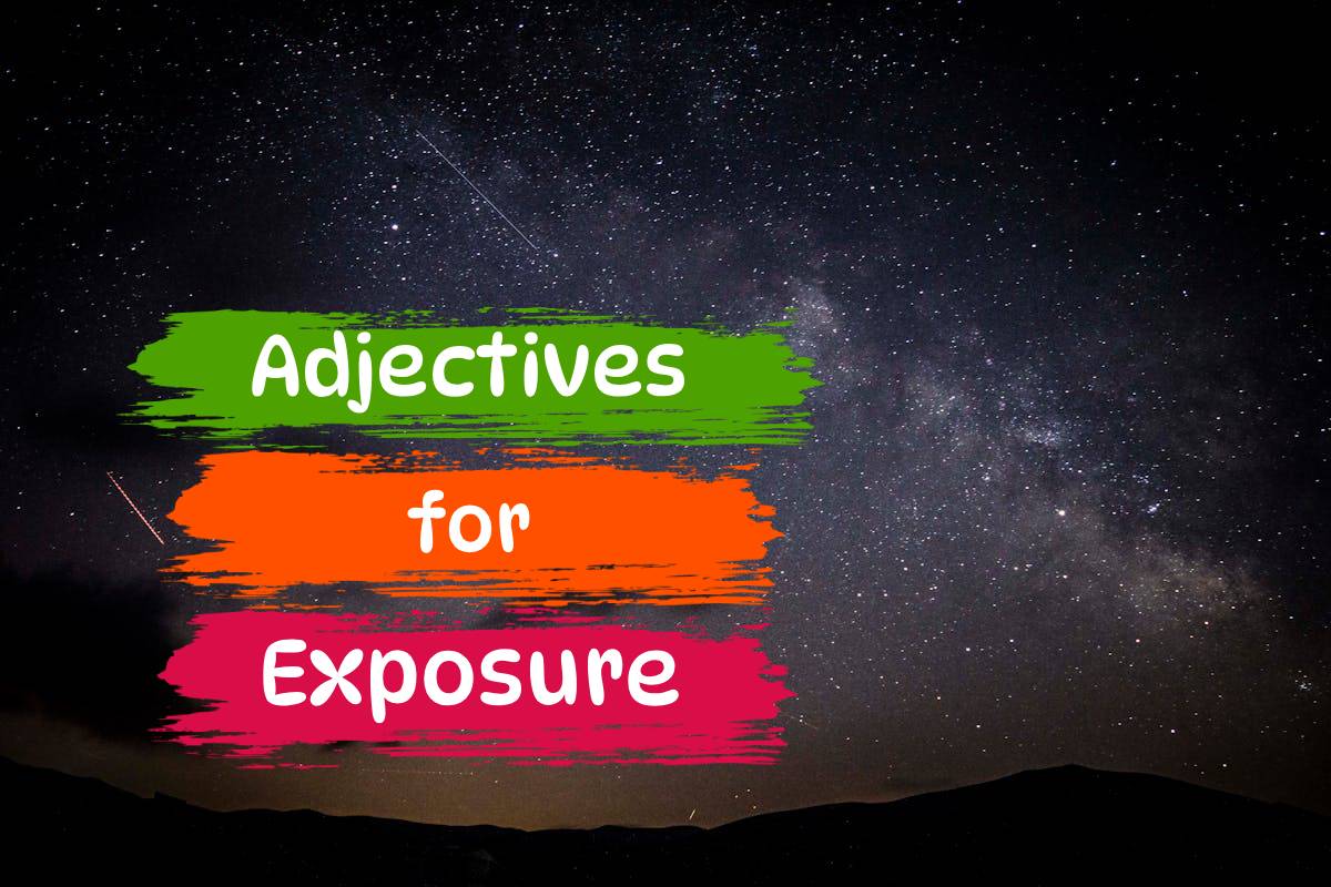 Adjectives for Exposure: Enhancing Detail and Impact - Grammar Tactics